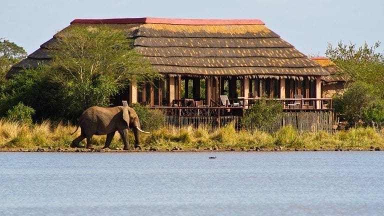 13 Best Private Game Lodges In Kruger National Park | Wildest