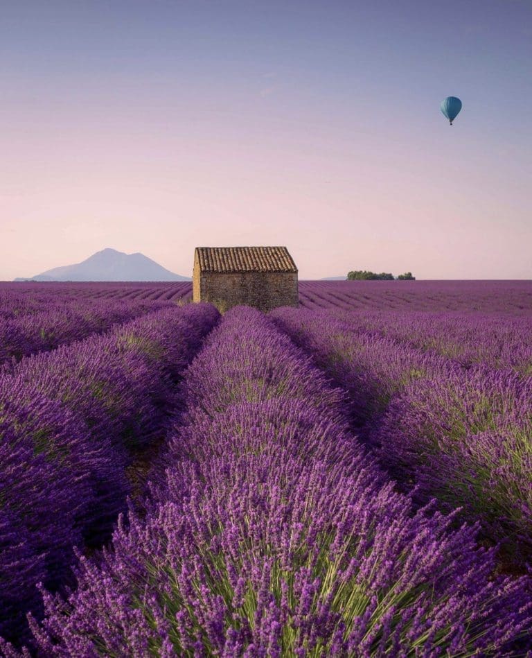 Exploring the French Countryside: 10 Must-Visit Destinations | Wildest