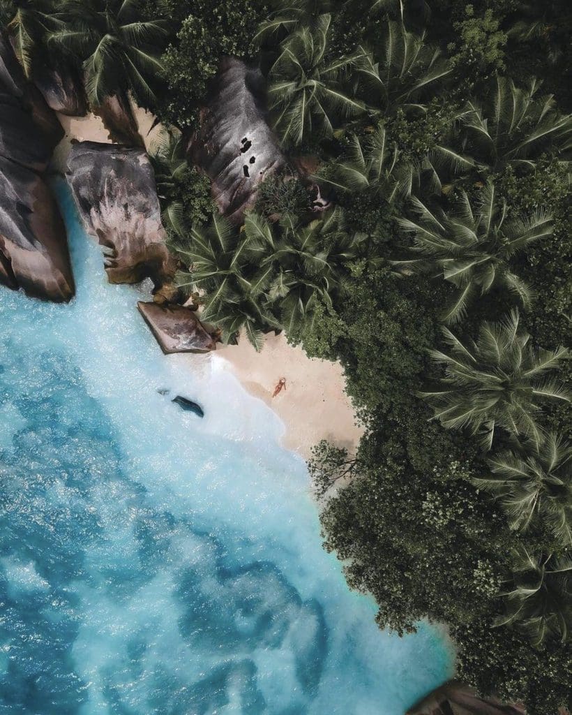 19 Things to do in the Seychelles - North Island | Wildest