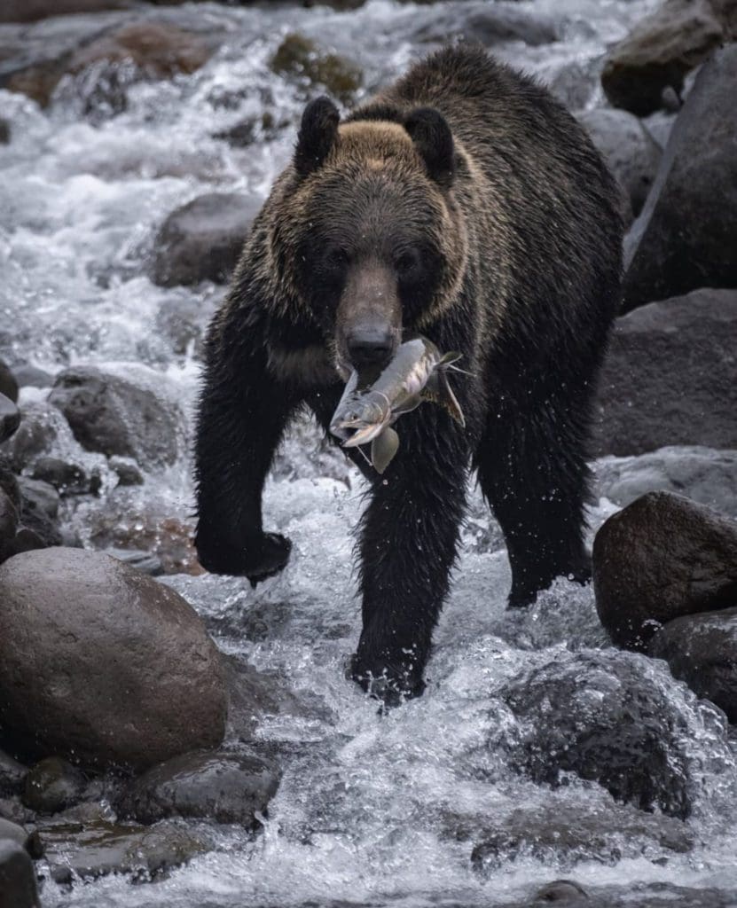 The Top 10 National Parks In Japan | Wildest