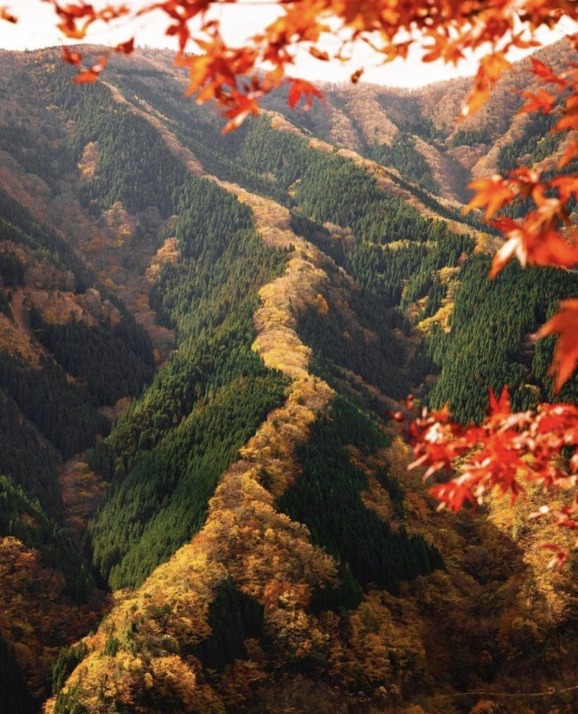 The Top 10 National Parks In Japan | Wildest
