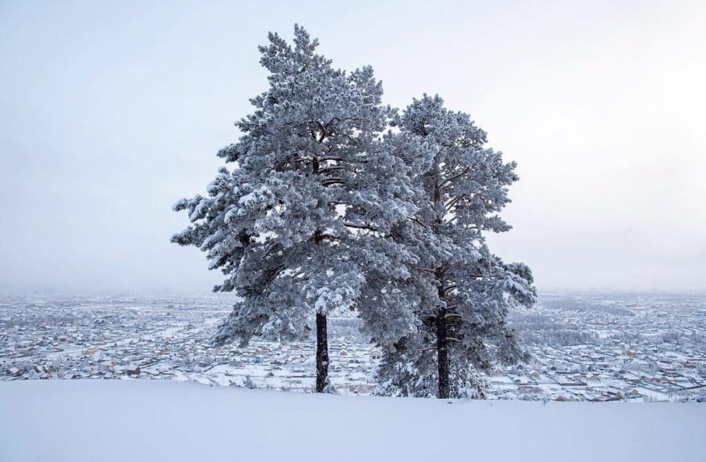 Beyond The Ice: Unearthing The World's Coldest Cities | Wildest