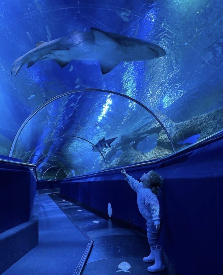 18 Of The Best Things To Do In Perth, Australia | Wildest