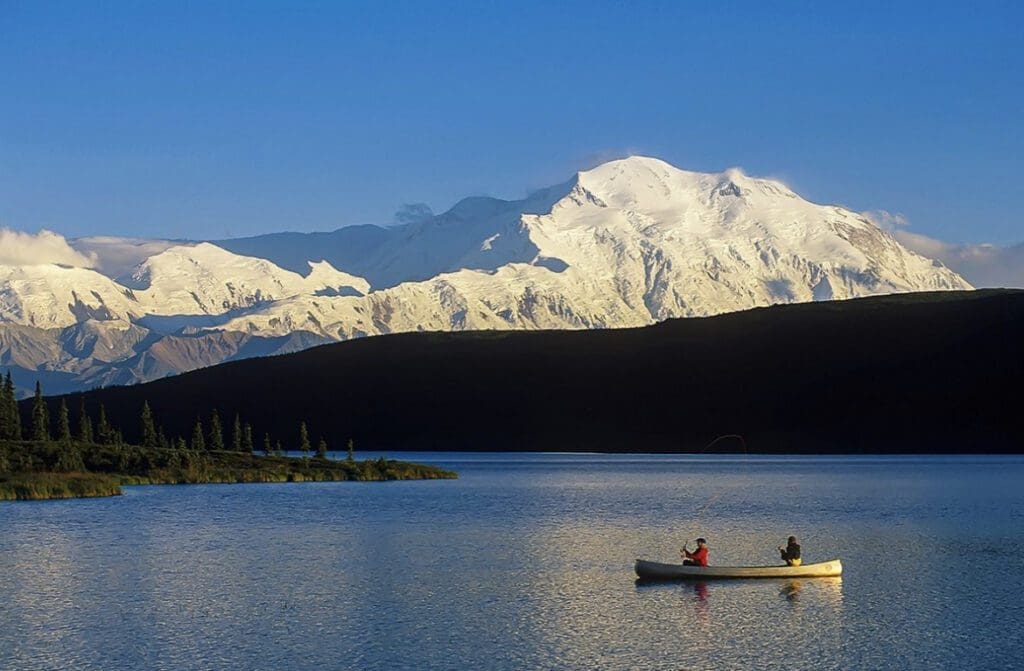 The Ultimate Guide to Denali National Park | Wildest