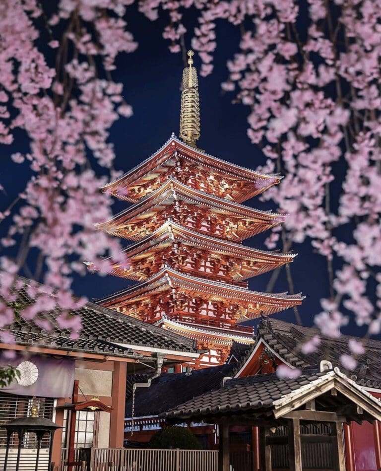 The 20 Best Things To Do In Tokyo | Wildest