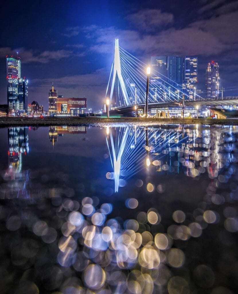 The 15 Best Things To Do In Rotterdam | Wildest