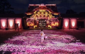 Everything You Need To Know About Japan's Nijo Castle | Wildest