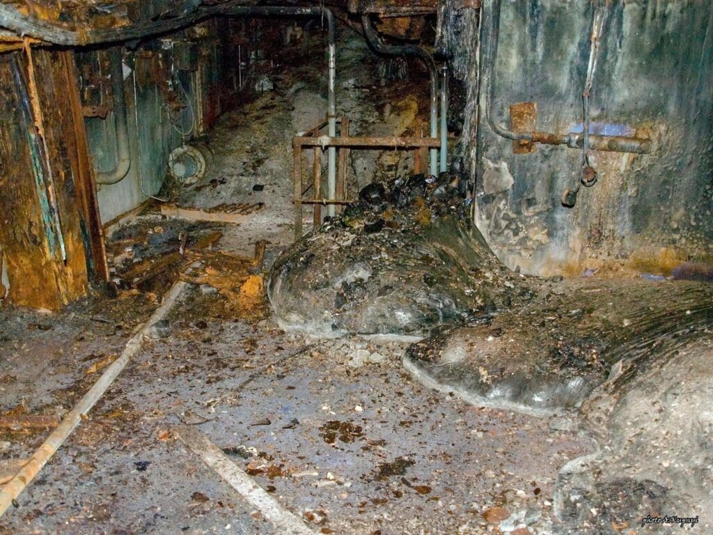 The Elephant's Foot of Chernobyl: The Deadliest Artifact in Nuclear History | Wildest