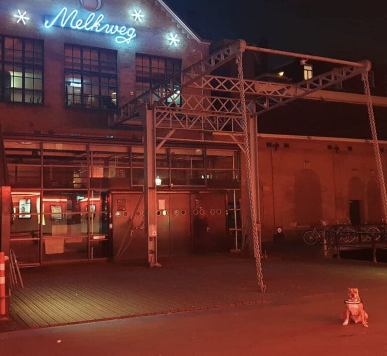 Cool Clubs in Amsterdam - 12 Must-Visit Night Spots! | Wildest