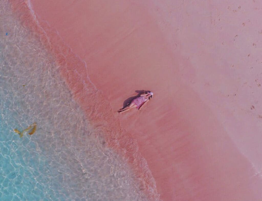 The Most Beautiful Pink Beaches in Indonesia | Wildest