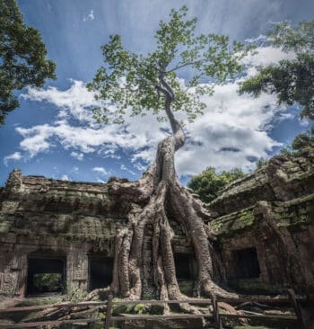 10 Ancient & Beautiful Temples In Cambodia | Wildest